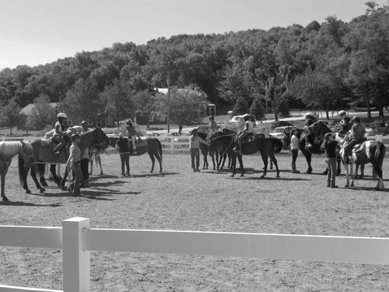 our-horses - Wildwood Hills Ranch of Iowa