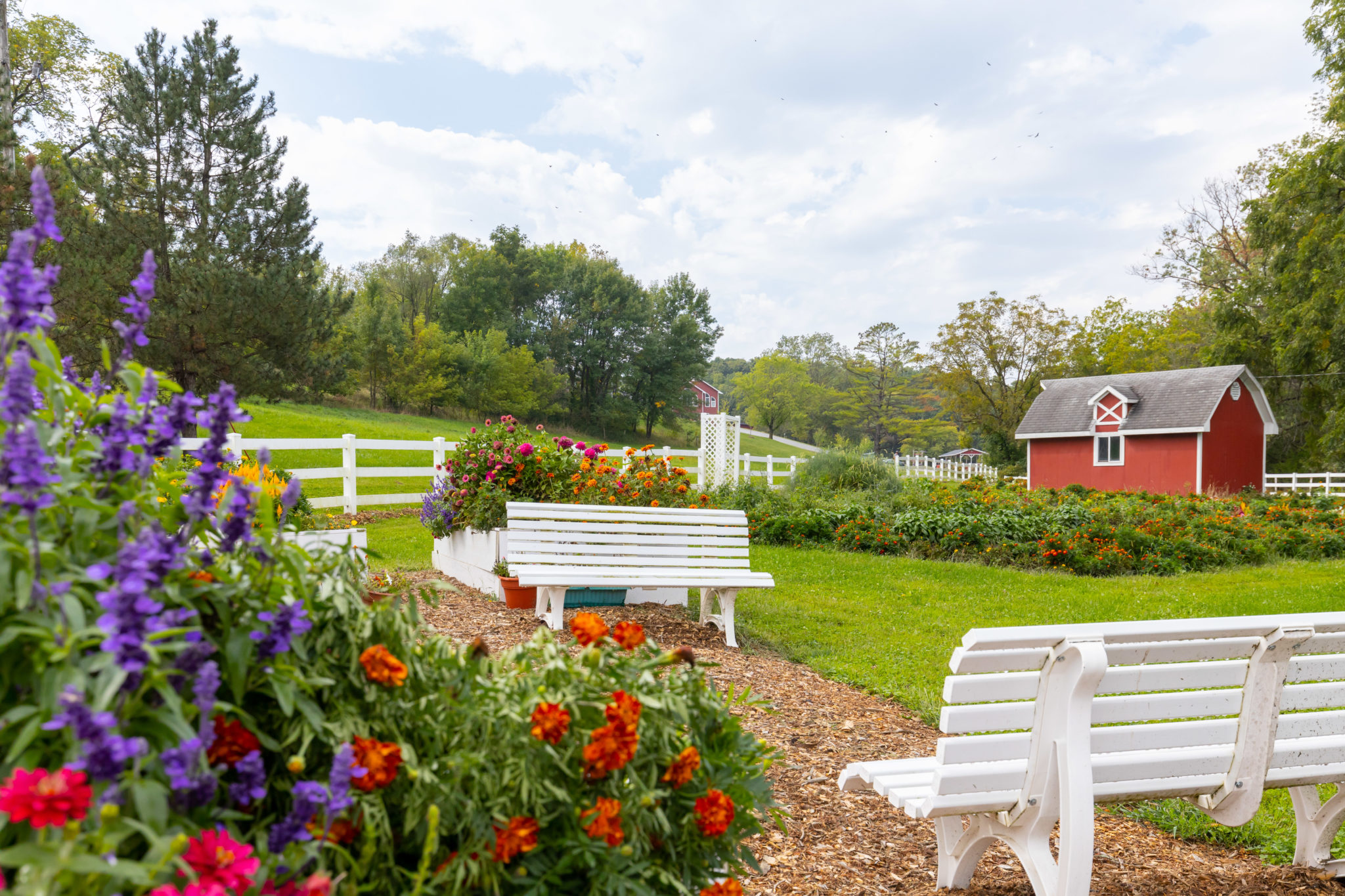 Conference and Retreat Center - Wildwood Hills Ranch of Iowa