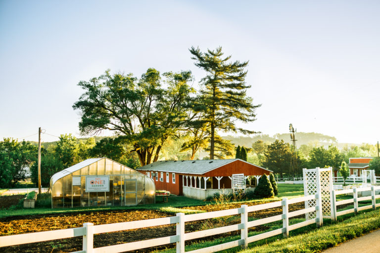 One Time Donation - Wildwood Hills Ranch of Iowa